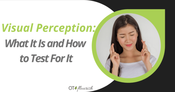 Visual Perception: What It Is And How To Test For It | OT Flourish