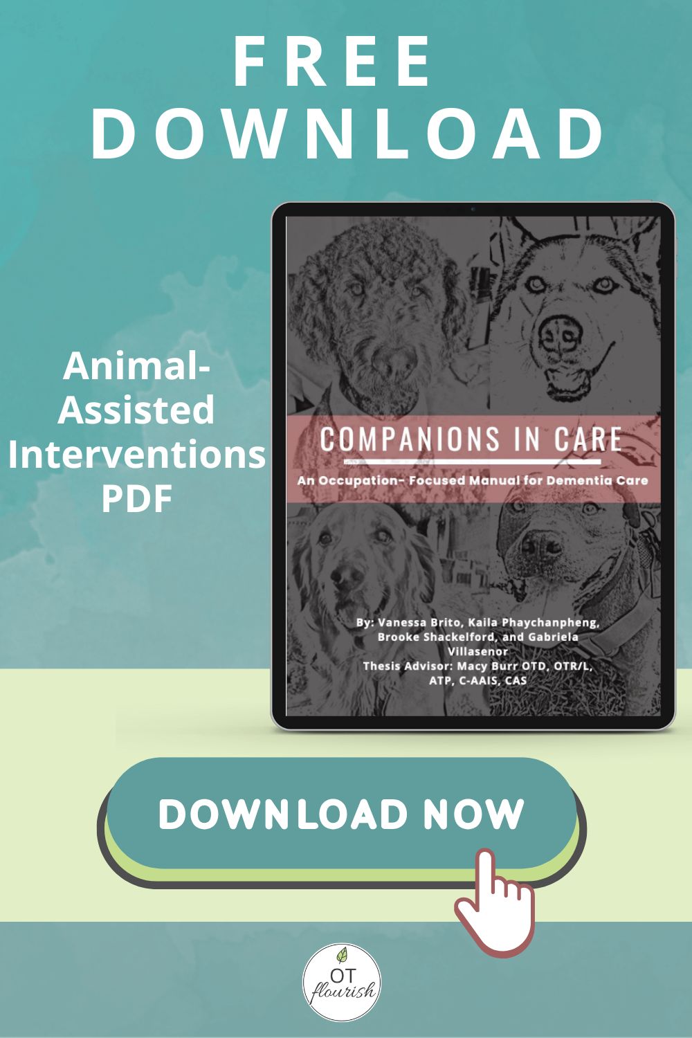 Animal Therapy: A Look At Animal Assisted Interventions